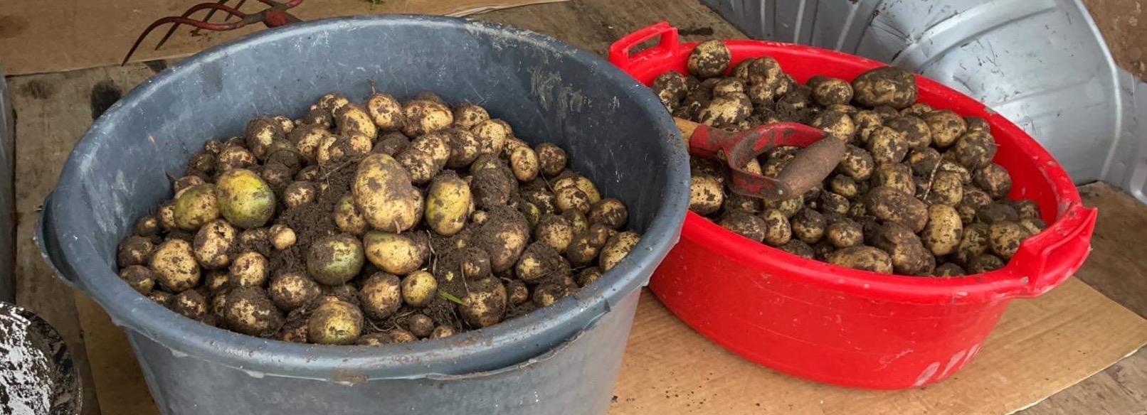 3 LÆRDÓMAR FRÁ EPLUM - Vakurleiki